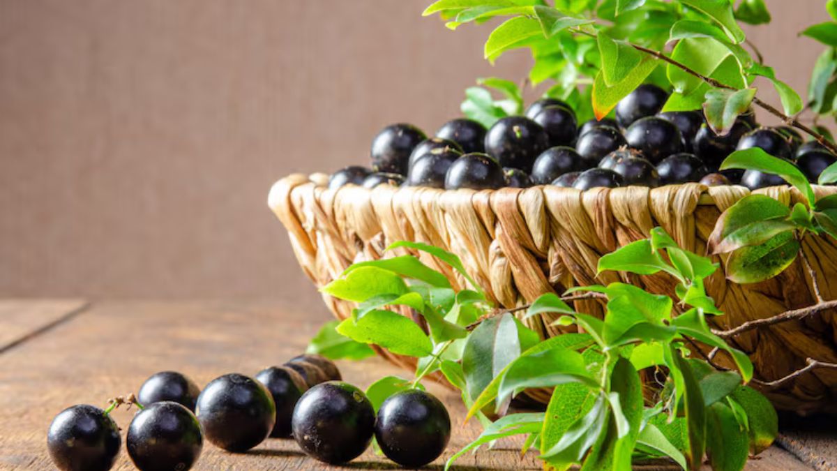 6 benefícios da jabuticaba que todo mundo deveria conhecer| TMC