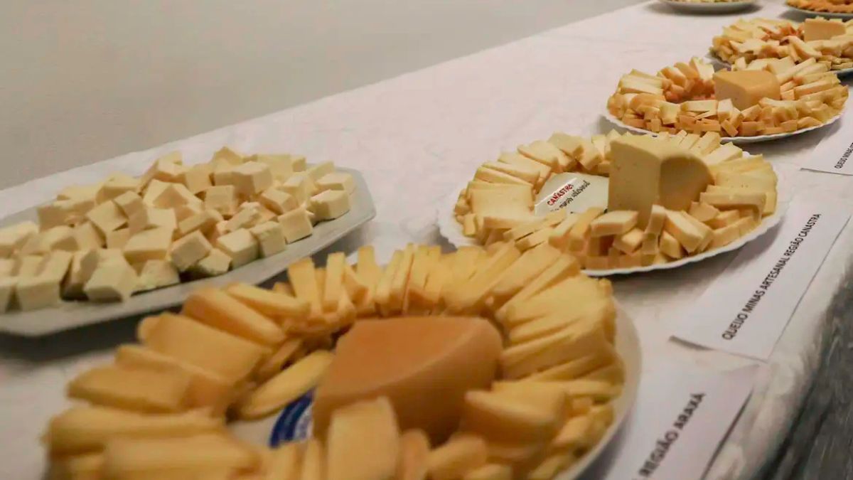 Brasil começa a importar queijo europeu com desconto de 10% | TMC